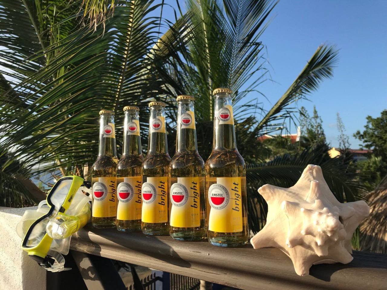 10 Best Aruba Beers (From 5 Aruban Breweries) | TravelTips.org